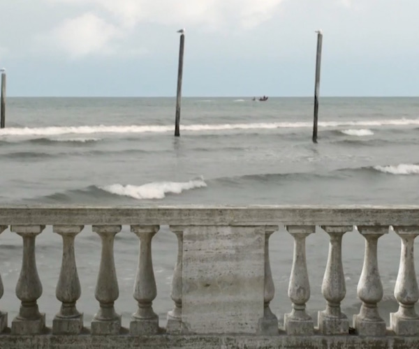 Film Review: Abbas Kiarostami's "24 Frames" - Final Photo Album - The ...