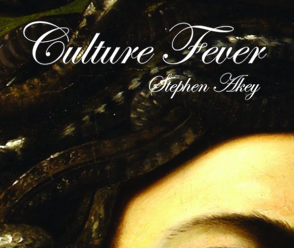 Book Review: Catch "Culture Fever" - The Arts Fuse