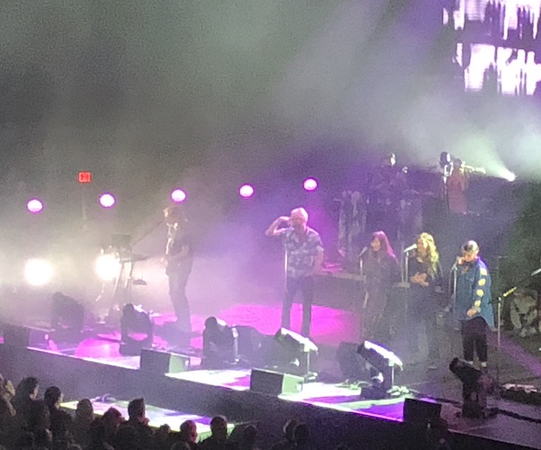 Rock Concert Review: The National in Boston - Highly Engaged - The Arts ...