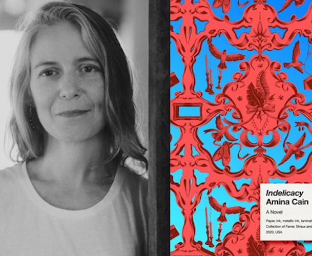 Book Review: Amina Cain's "Indelicacy" - Brilliant, But Icy, Minimalism ...