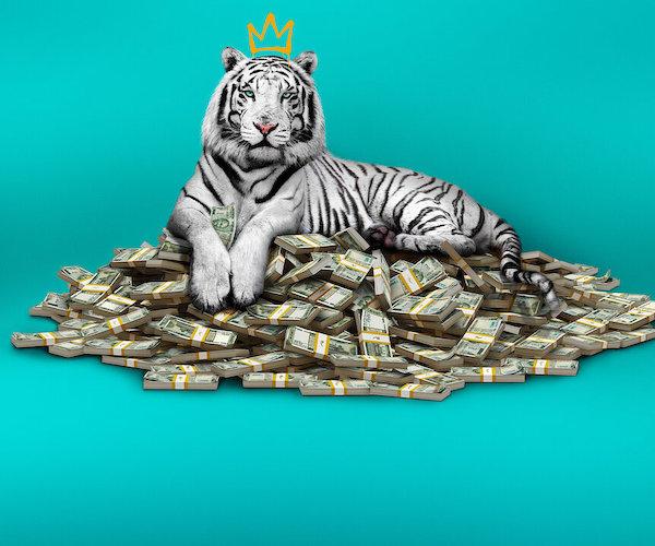 Film Review: "The White Tiger" - Class Warfare, Indian Style - The Arts ...