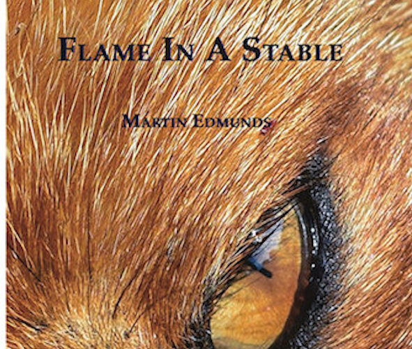 Poetry Review: The Word-Whipped Verse of "Flame in a Stable" - The Arts ...