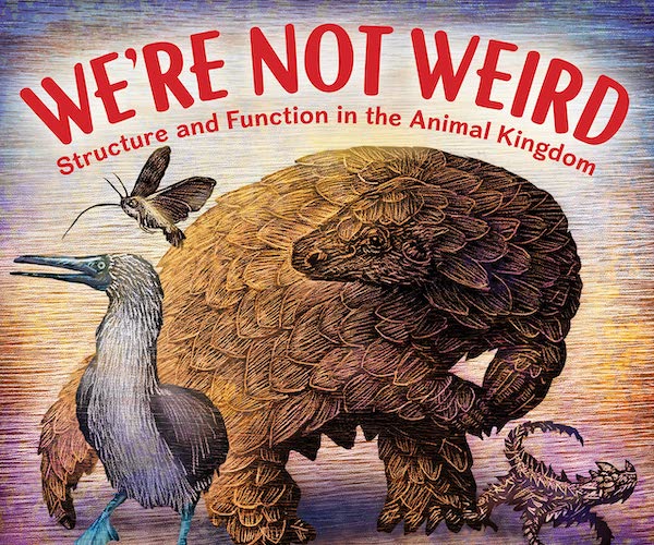 Book Reviews: Discoveries Galore - Three Children’s Books About the ...