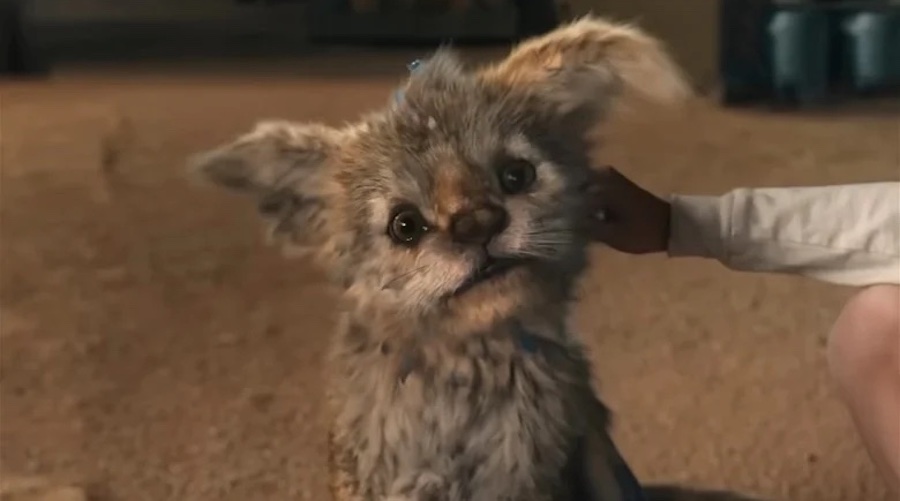 Television Review: "Chupa" - An Adorable Little Monster - The Arts Fuse