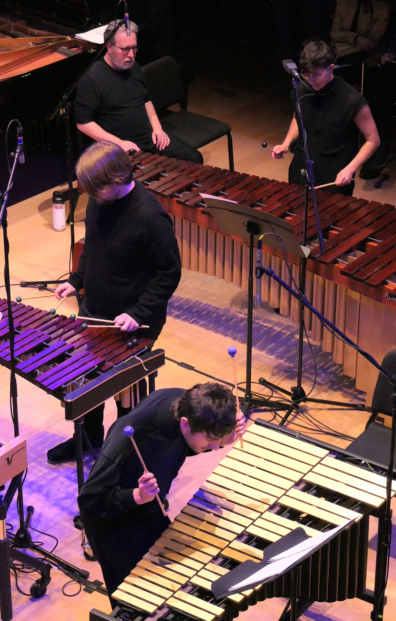 Concert Review: Rare Boston Revival - Steve Reich’s Minimalist Epic ...